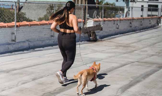 11 Tips voor veilig hardlopen met je hond | Hardloopbaas